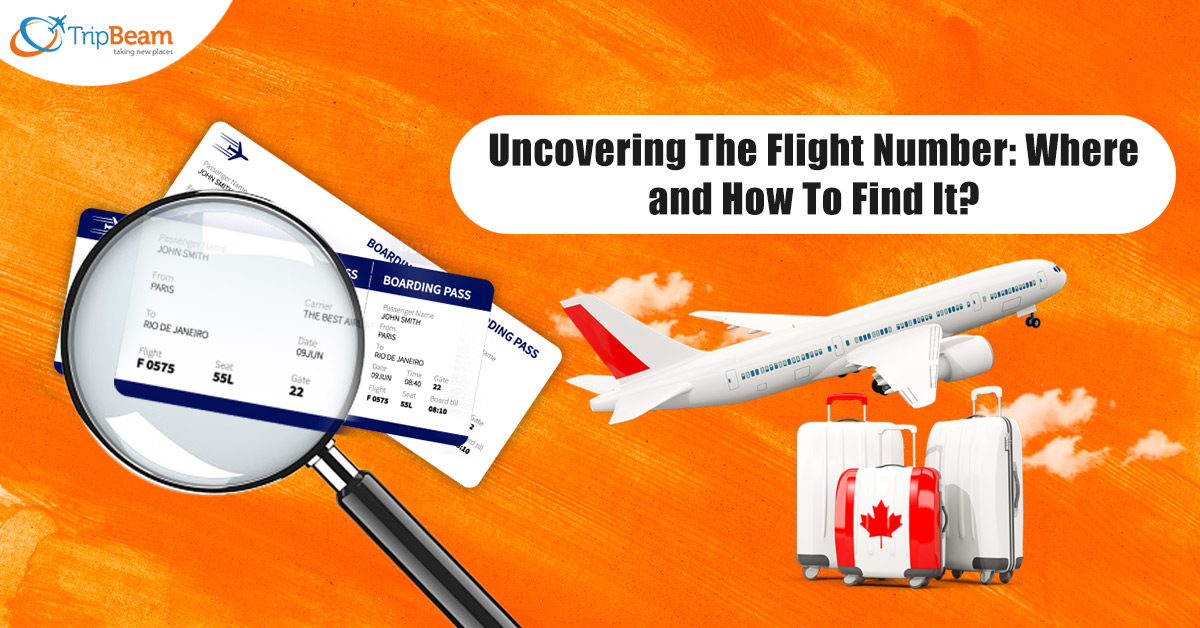 Uncovering The Flight Number Where And How To Find It Tripbeam CA Uncovering The Flight Number Where And How To Find It Tripbeam CA