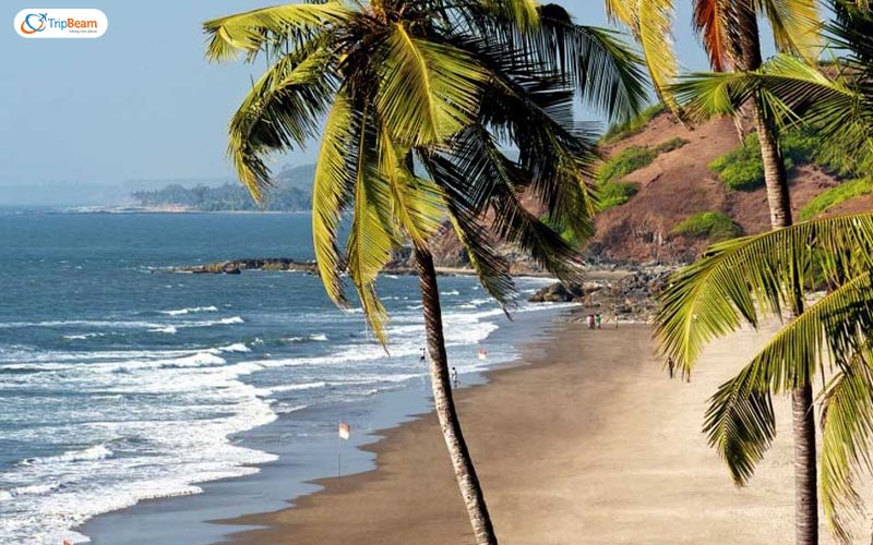 Exploring the Best Beaches of Goa - A Top Notch Guide